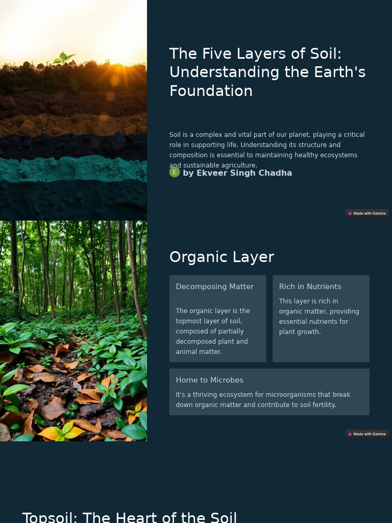 The Five Layers of Soil Understanding The Earths Foundation | PDF ...