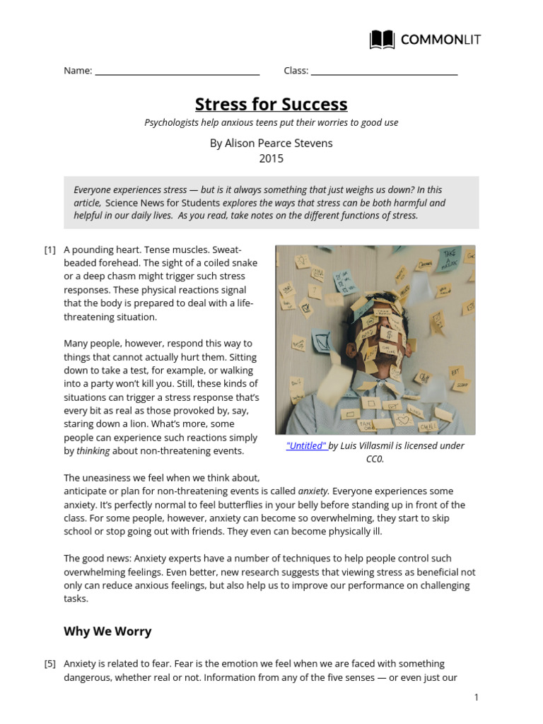 Stress For Success-Student | PDF | Obsessive–Compulsive Disorder | Anxiety