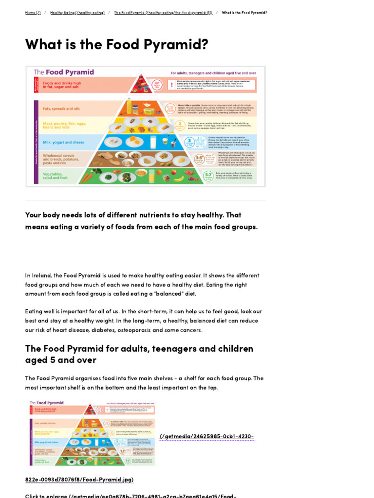 Understanding the Food Pyramid | PDF