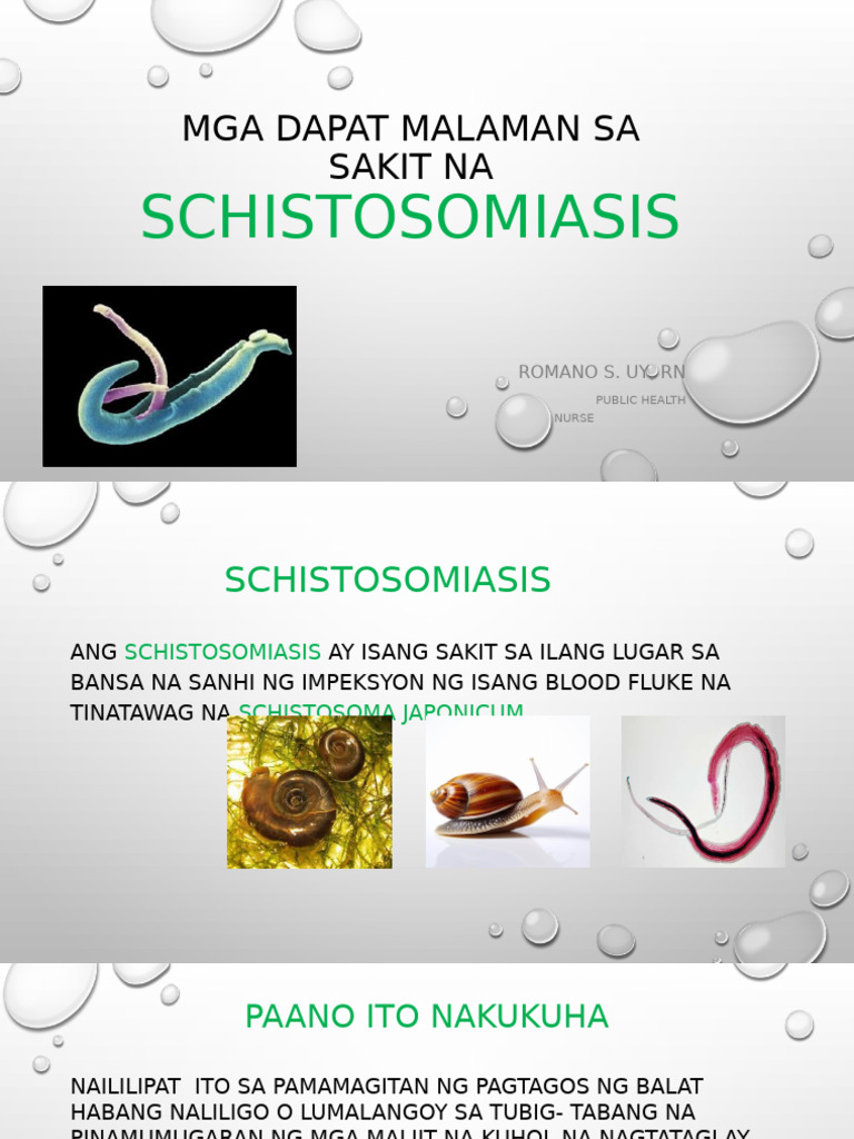 Schistosomiasis | PDF