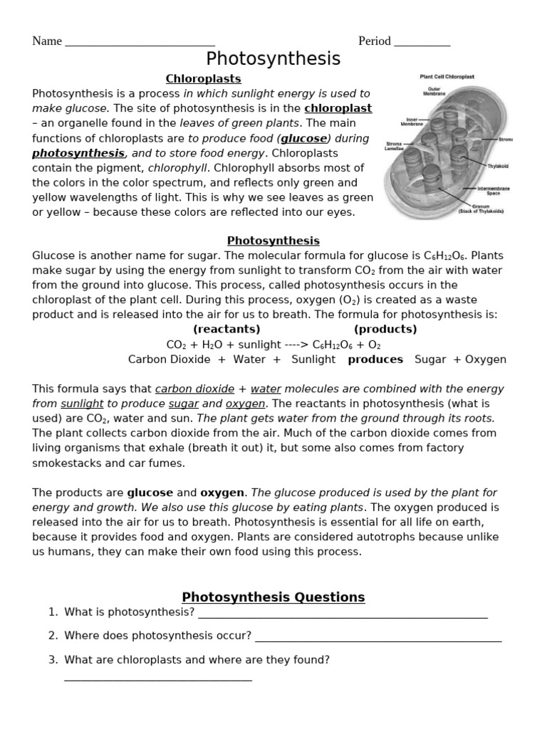 Muhammad Atif - Photosynthesis Reading | PDF | Photosynthesis | Carbon Dioxide