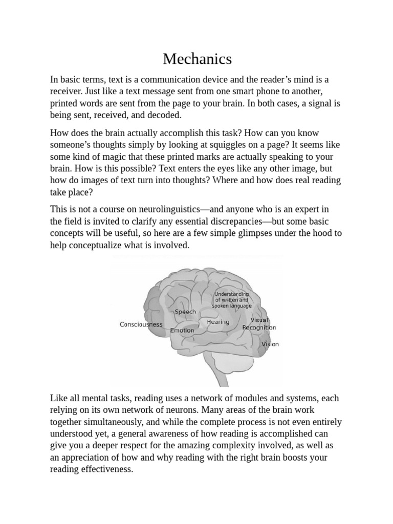 Reading Mechanism | PDF | Brain | Information