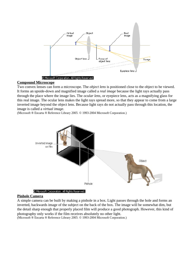 Compound Microscope & Pinhole Camera | PDF