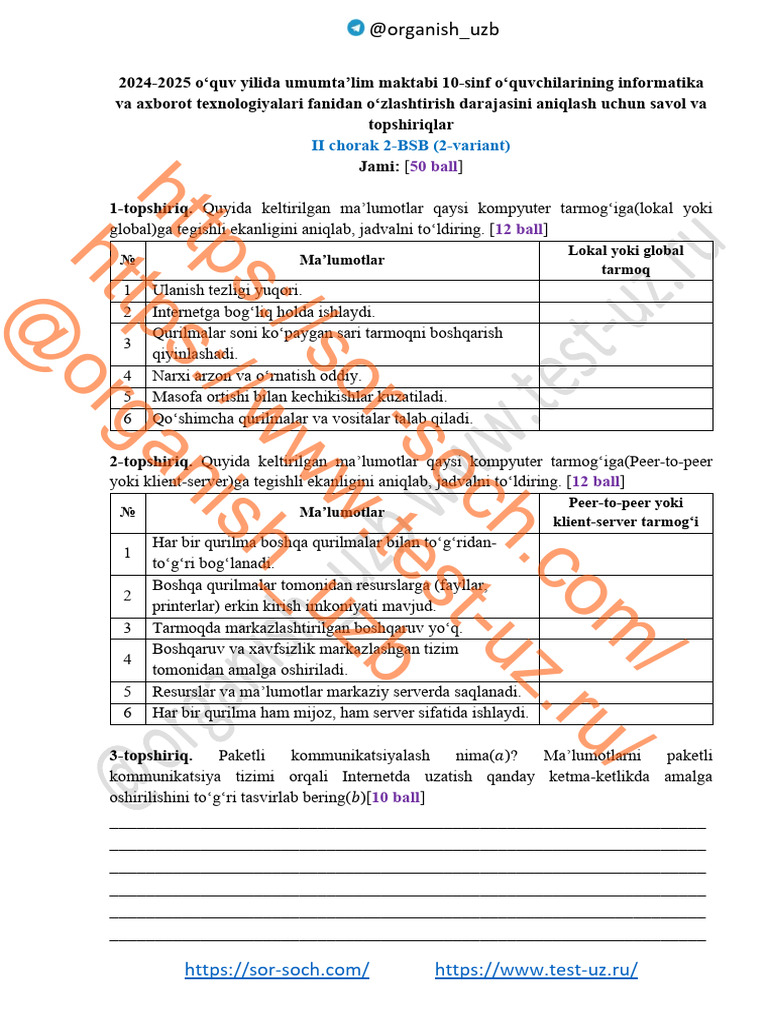 10 Sinf Informatika BSB-2 Var 2 | PDF