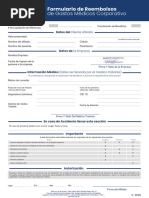 Formulario Bmi - Individual | PDF | Medicina | Cuidado de la salud