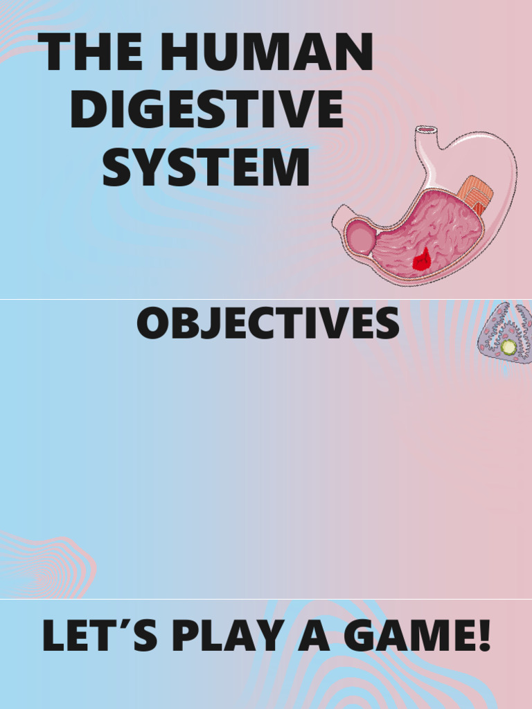 q4 s8 Digestive System Parts and Functions | PDF | Digestion | Human Digestive System