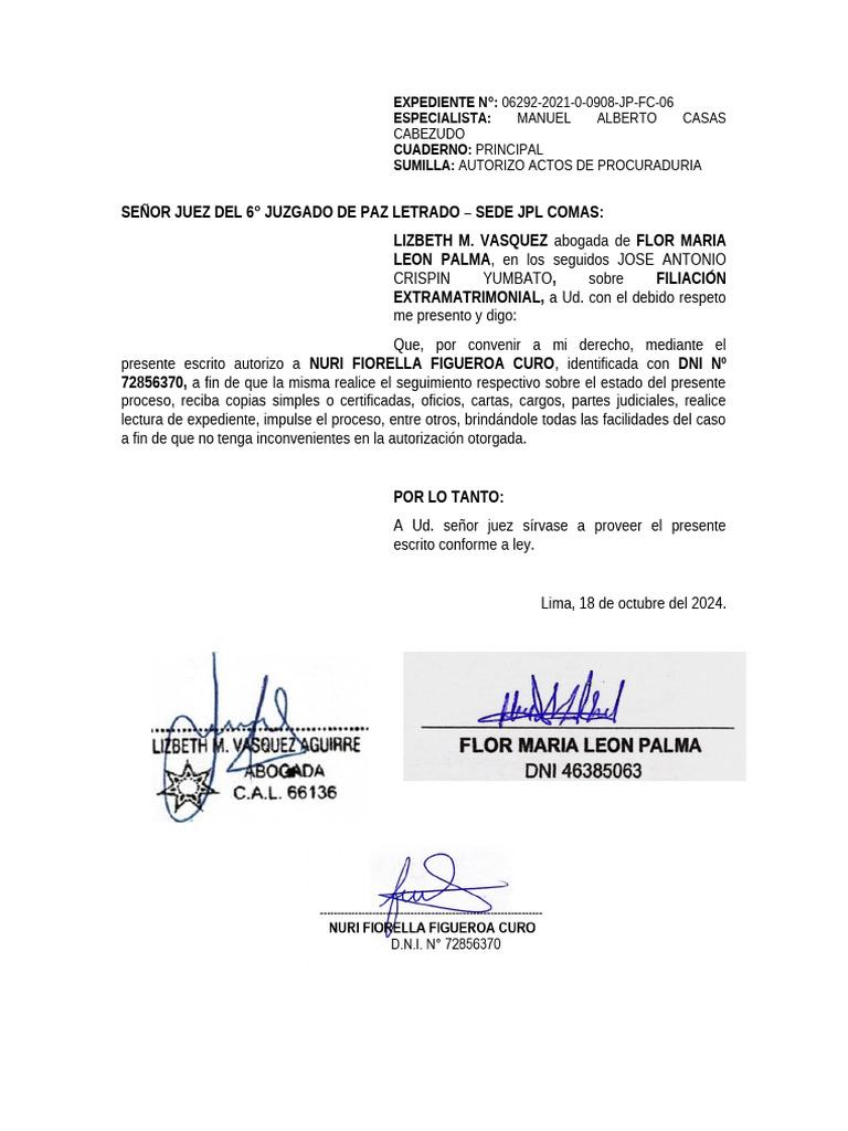 Escritos de Actos de Procuraduria - Flor Maria Leon Palma | PDF