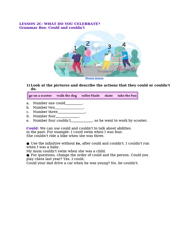 Celebrating Abilities: Could vs. Couldn't | PDF