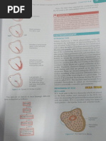 Wilson Central Terminal | PDF | Electrocardiography | Low Pass Filter