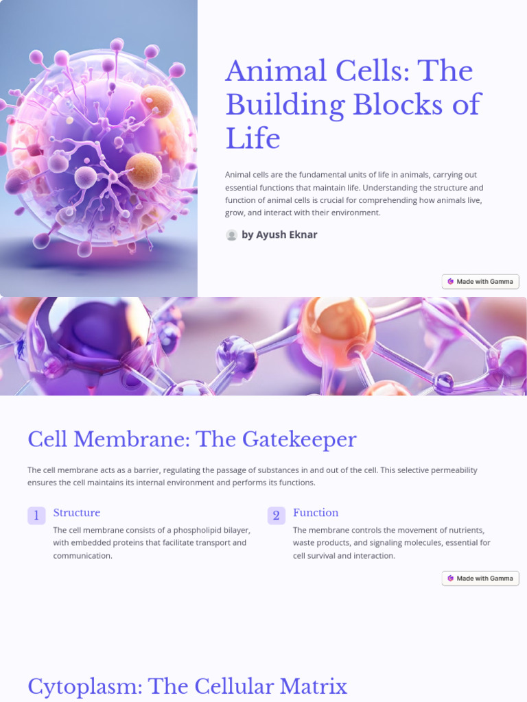 Animal Cells The Building Blocks of Life | PDF | Endoplasmic Reticulum ...