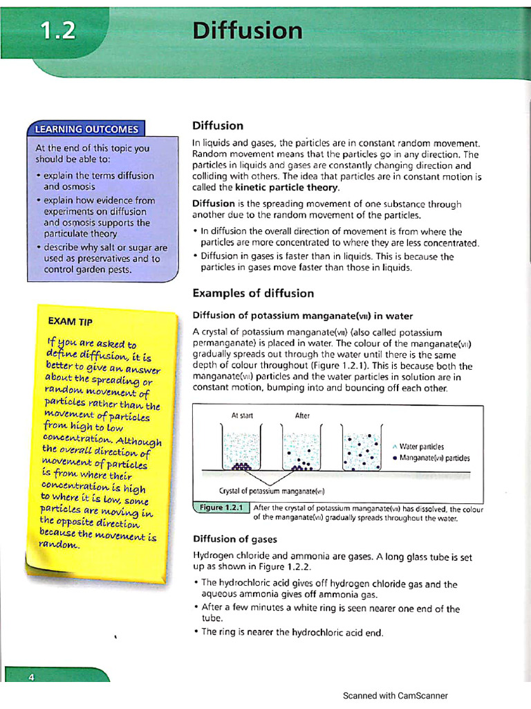 Grade_09_Diffusion_&_Osmosis_Notes | PDF