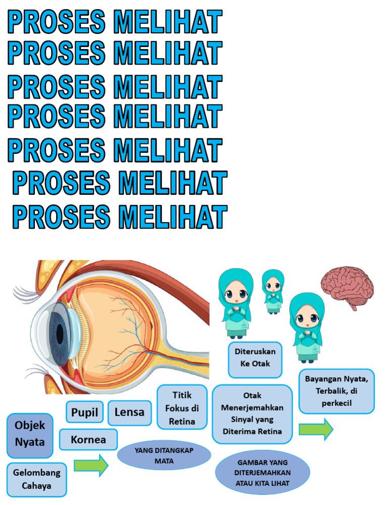 IPAS Bagian Mata | PDF
