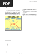 Signos de Percusión Abdominal | PDF | Abdomen | Hígado