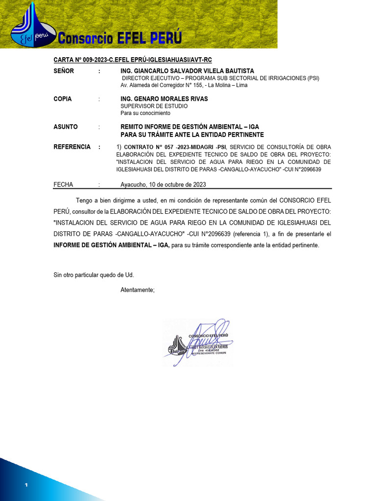 CARTA 009-2023 - C.EFEL PERU-IG - Presentacion de IGA | PDF