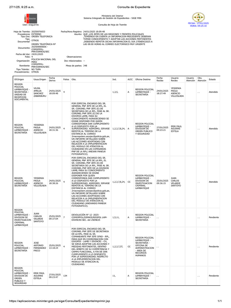 INFORME MODULOS Comprimido - Organized | PDF | Policía | Perú