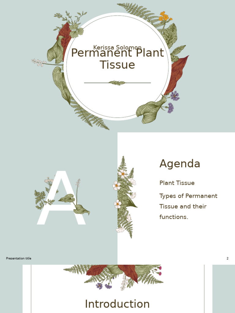 Types and Functions of Permanent Plant Tissue | PDF | Tissue (Biology ...
