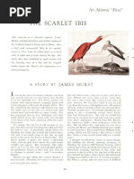 The Scarlet Ibis Text | PDF