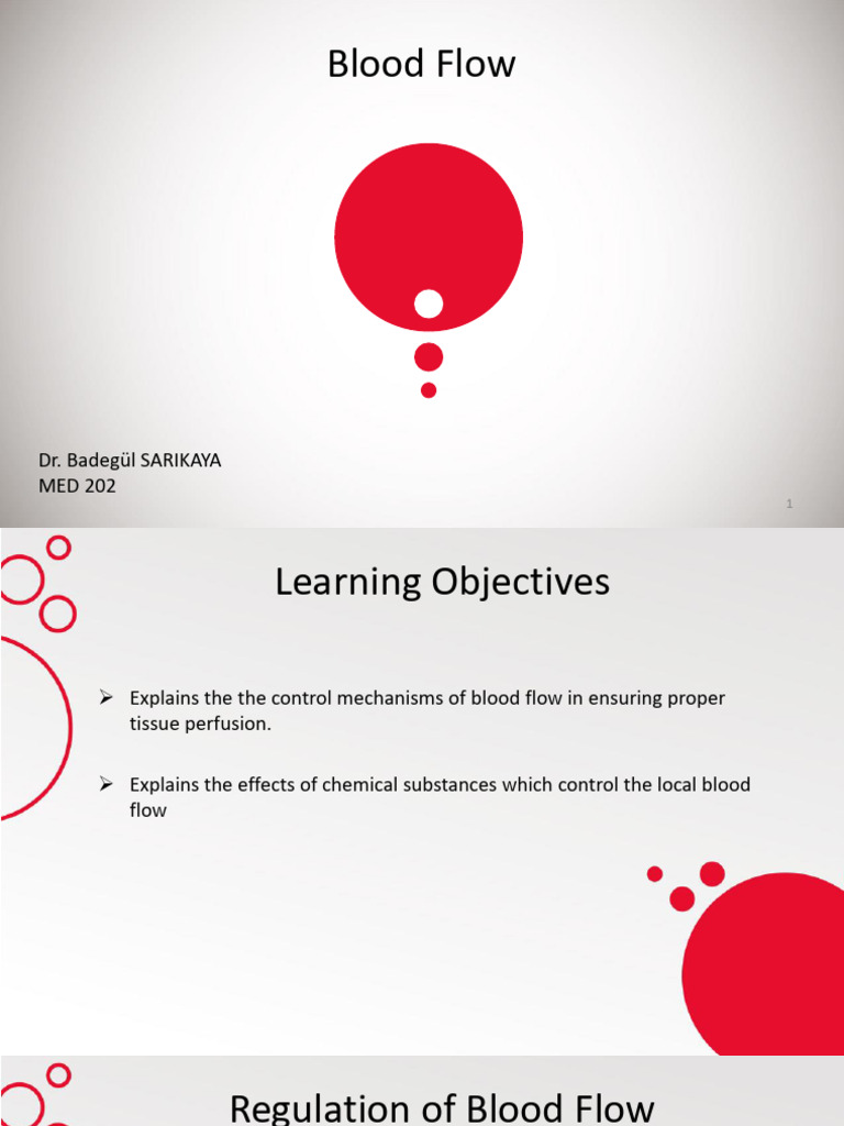 Blood Flow | PDF | Vasodilation | Blood Vessel