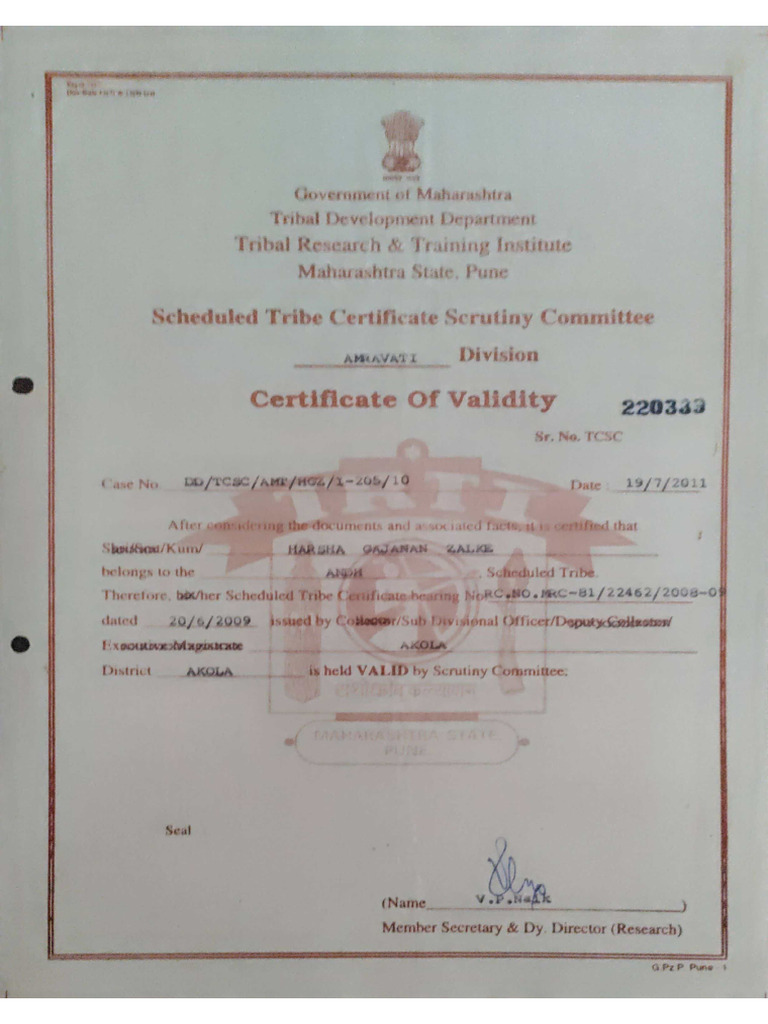 Caste Validity | PDF