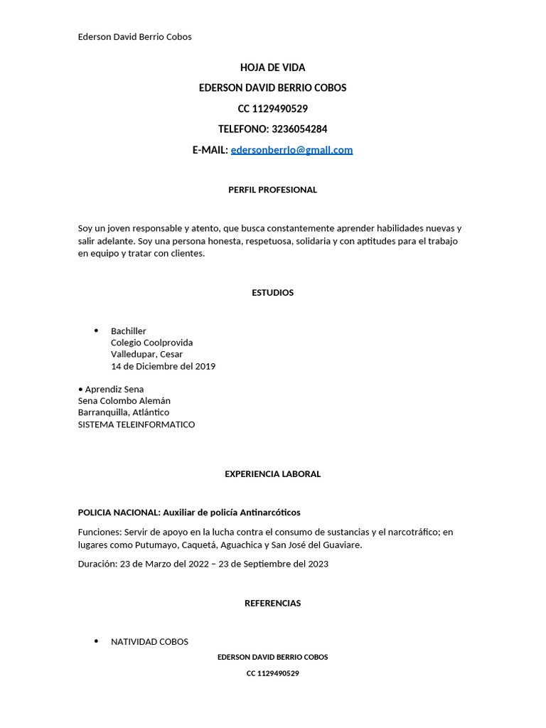 (Hoja de Vida) Ederson Berrio Cobos | PDF