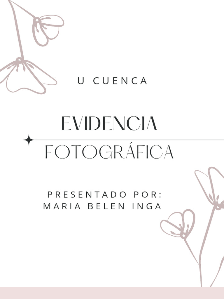Belen Inga Evidencia Fotografica | PDF