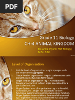 Kingdom Animalia - Phylum Summary Table | PDF | Gill | Zoology