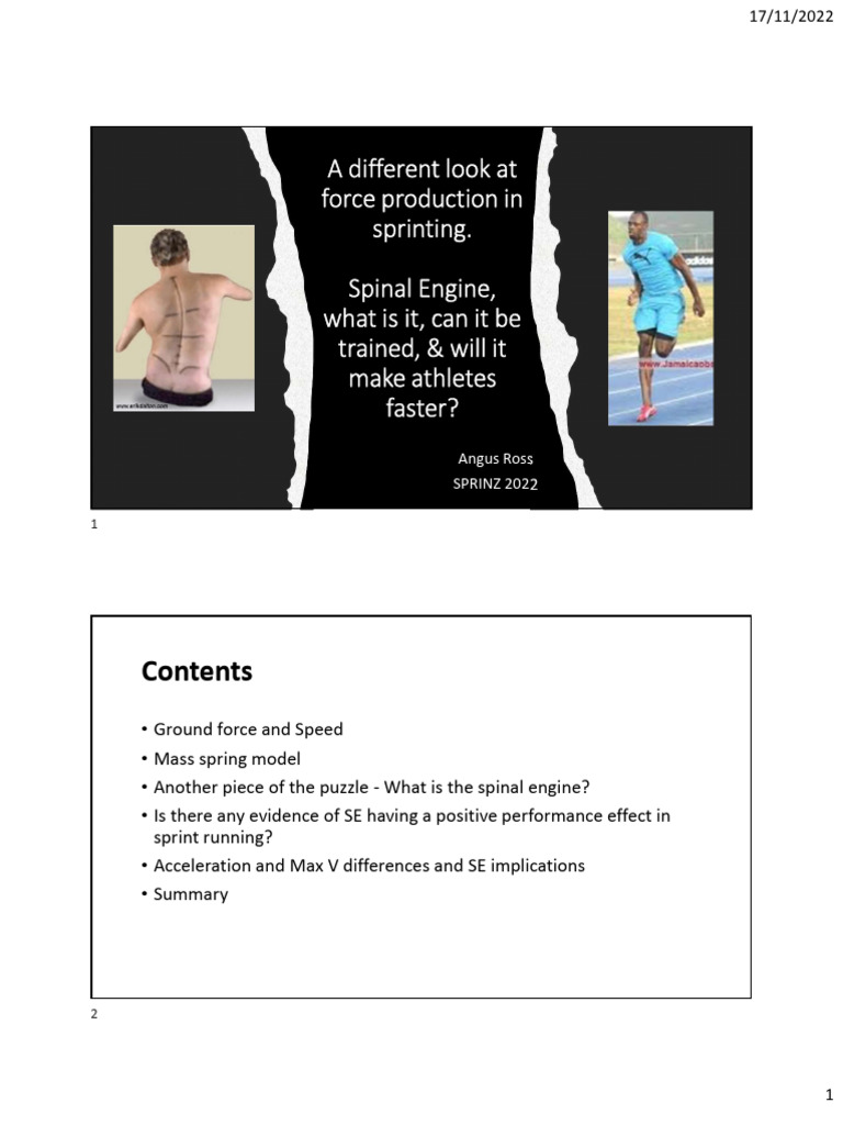 Spinal Engine Angus Ross | PDF | Running | Force
