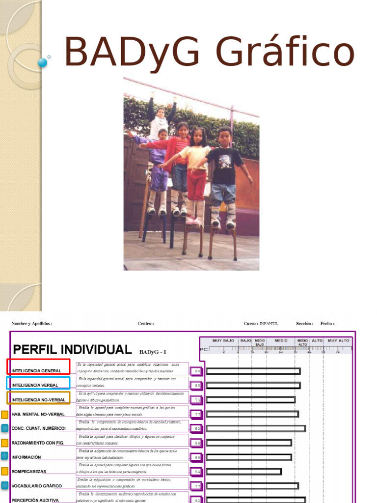 Badyg Infantil Nueva | PDF | Percepción | Neurociencia