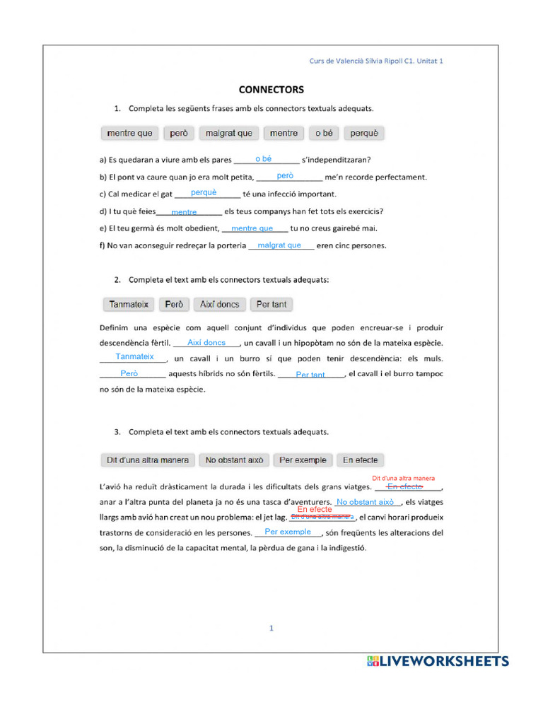 Fitxa Connectors Corregida | PDF