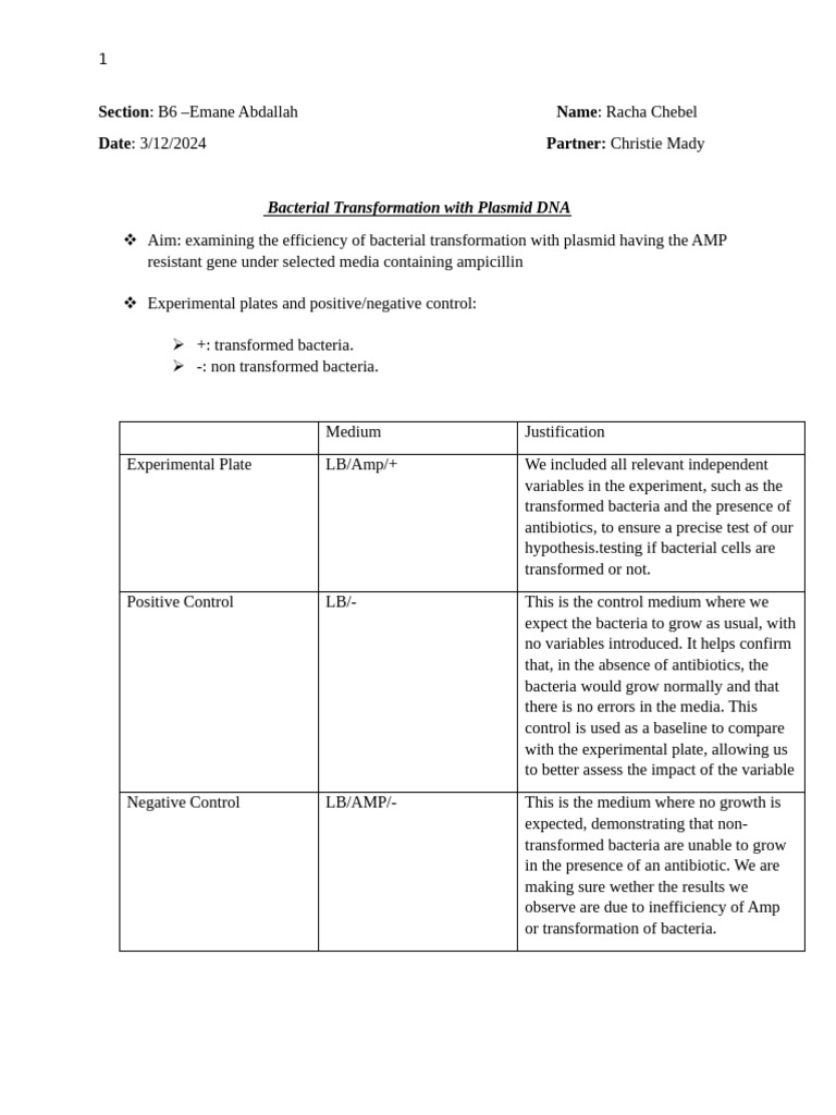 Bacterial Transformation Efficiency Study | PDF | Plasmid | Bacteria
