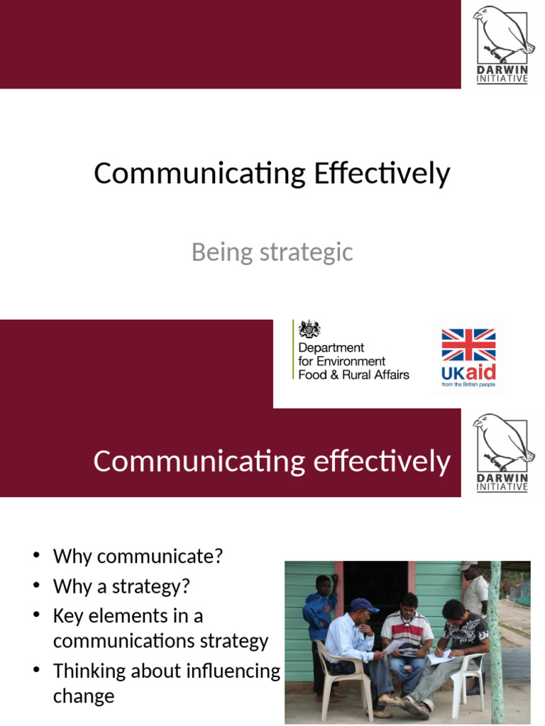 Effective Communication Strategies Guide | PDF