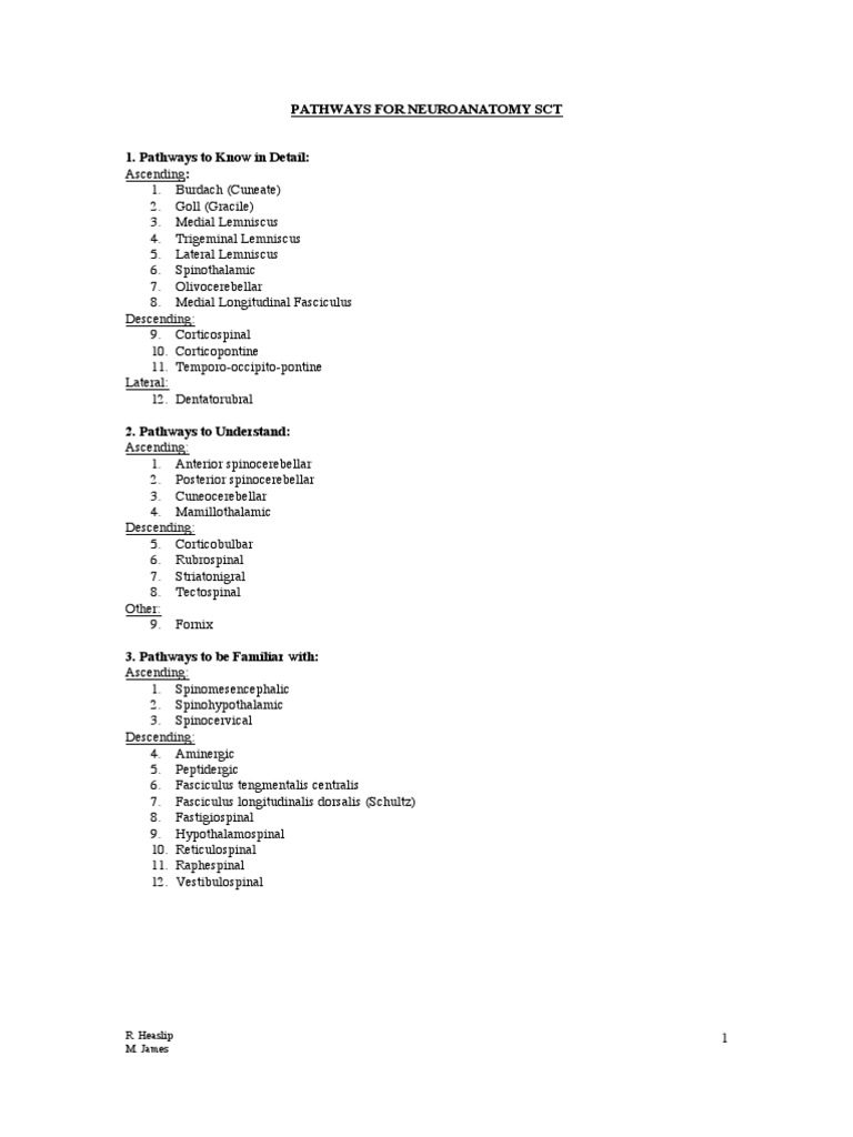 Pathways For Neuroanatomy SCT: R. Heaslip M. James | PDF | Spinal Cord ...
