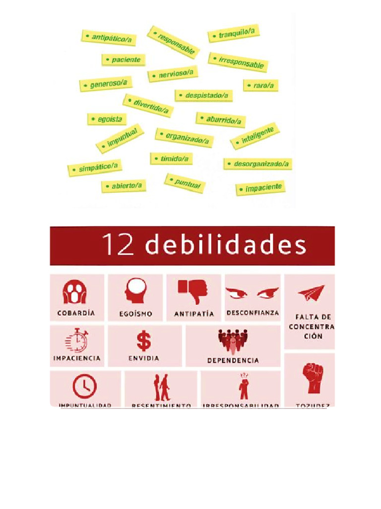 Debilidades y Fortalezas | PDF