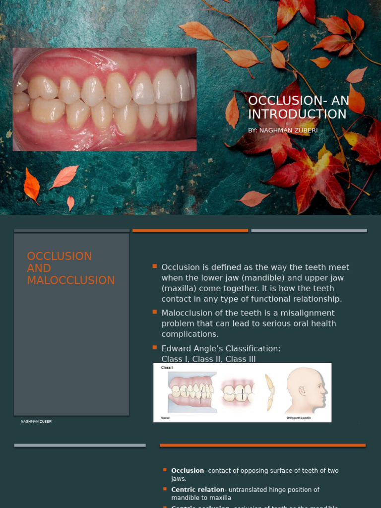 Occlusion - An Introduction | PDF | Dentistry | Dental Anatomy