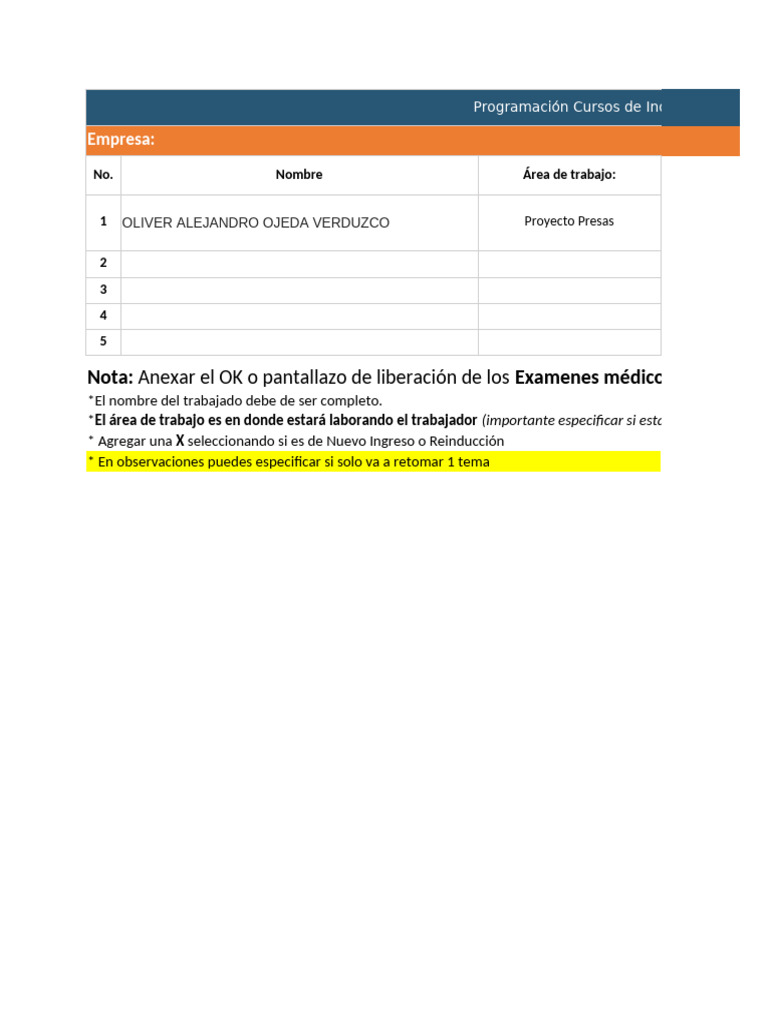 Formato Programación | PDF