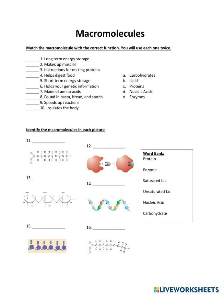 Macromolecules Chart 3 | PDF