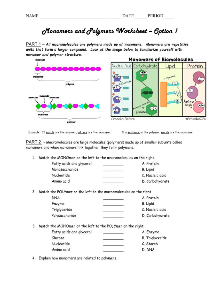 Macromolecule Chart 2 | PDF