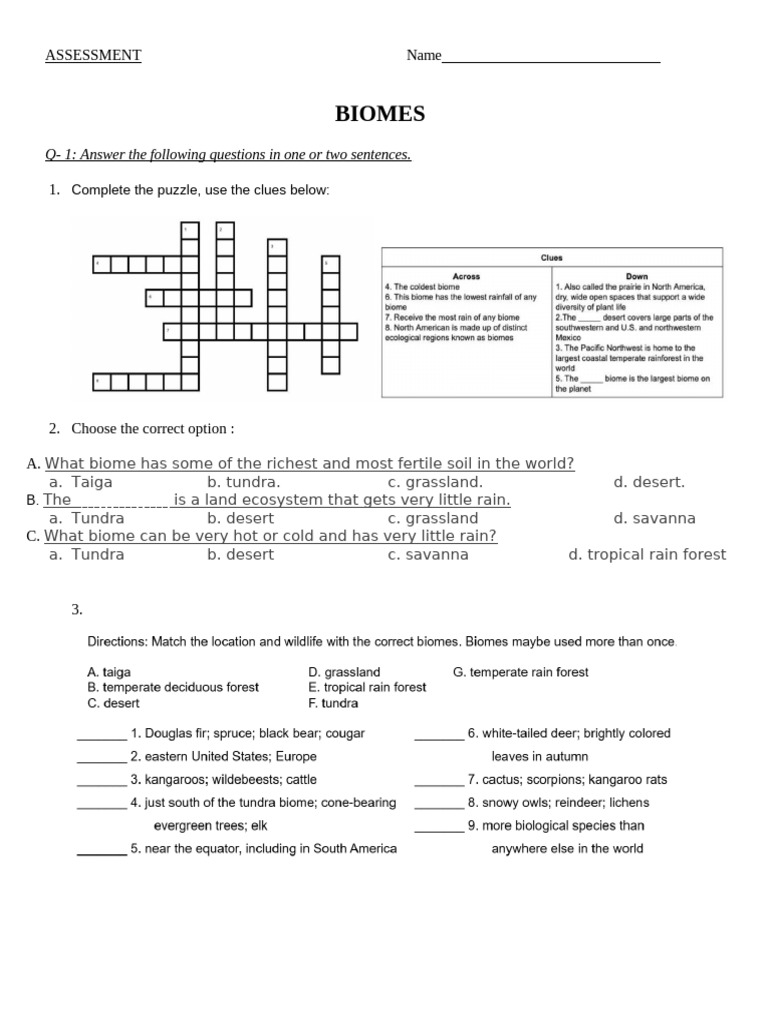 Assessment Biomes | PDF