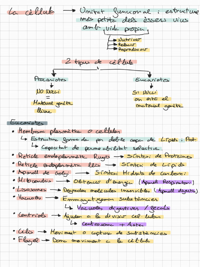 La Cèllula - 241008 - 234409 | PDF
