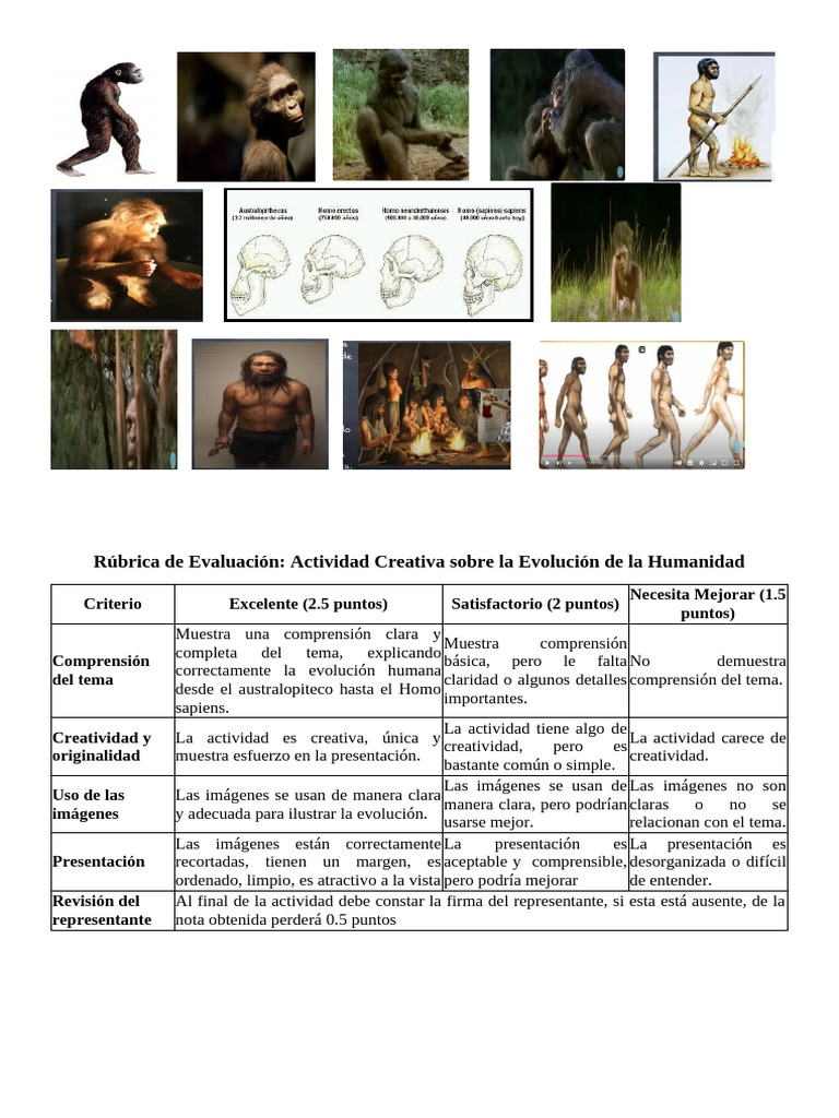 Imagenes y Rubrica Actividad Sobre Hominizacion | PDF