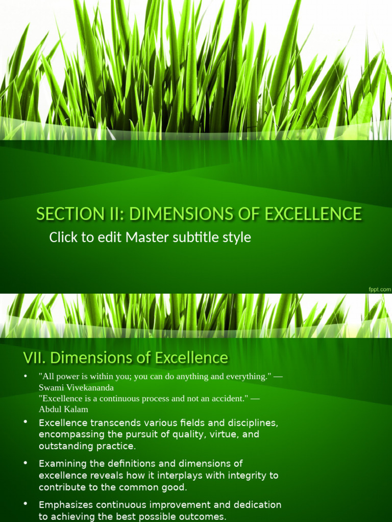 MT 2. Dimensions of Excellence | PDF | Psychological Resilience ...