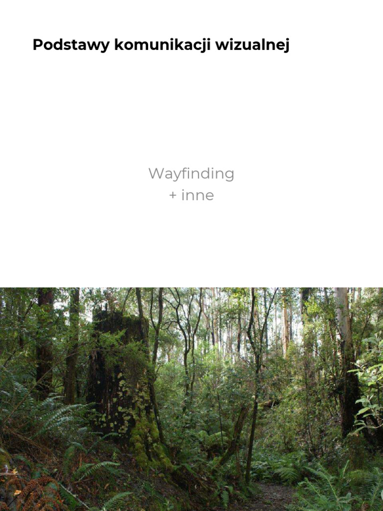 Podstawy Komunikacji Wizualnej4 Wayfinding | PDF