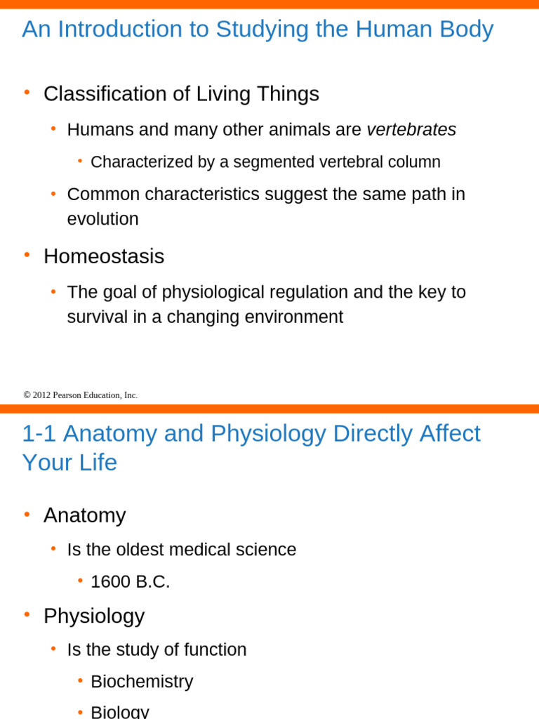 1 An Introduction To Anatomy and Physiology | PDF | Peritoneum | Human Body