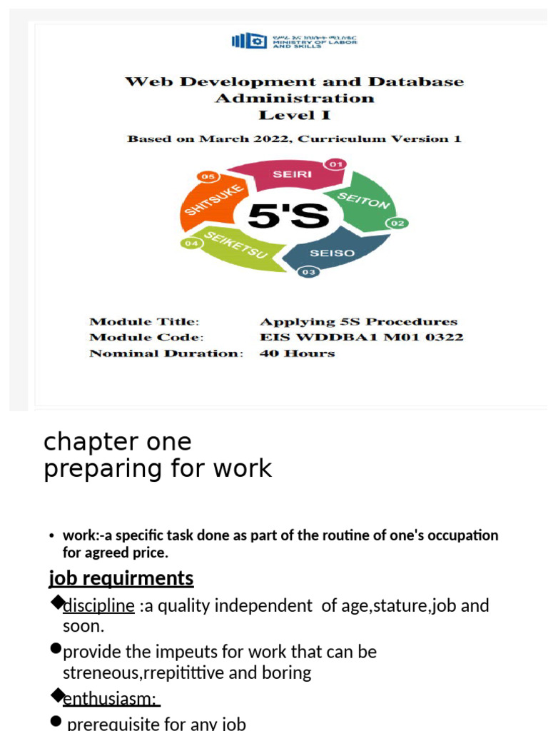 Applying 5s Procedures | PDF | Occupational Safety And Health | Workplace