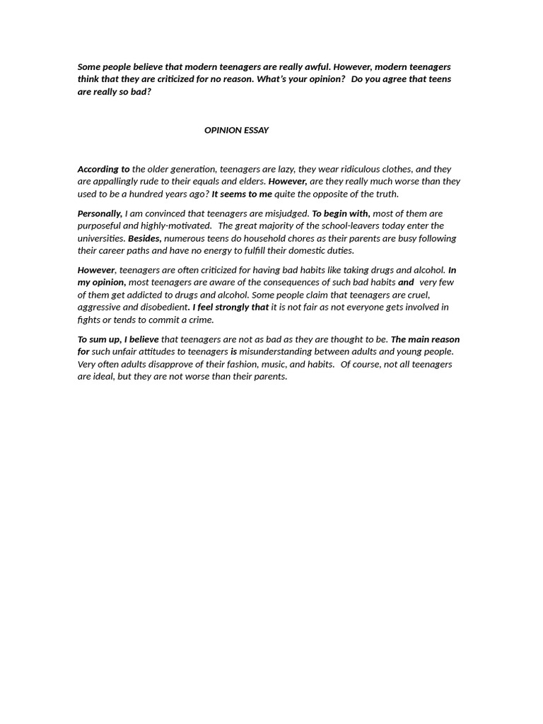 OPINION ESSAY 2025 | PDF