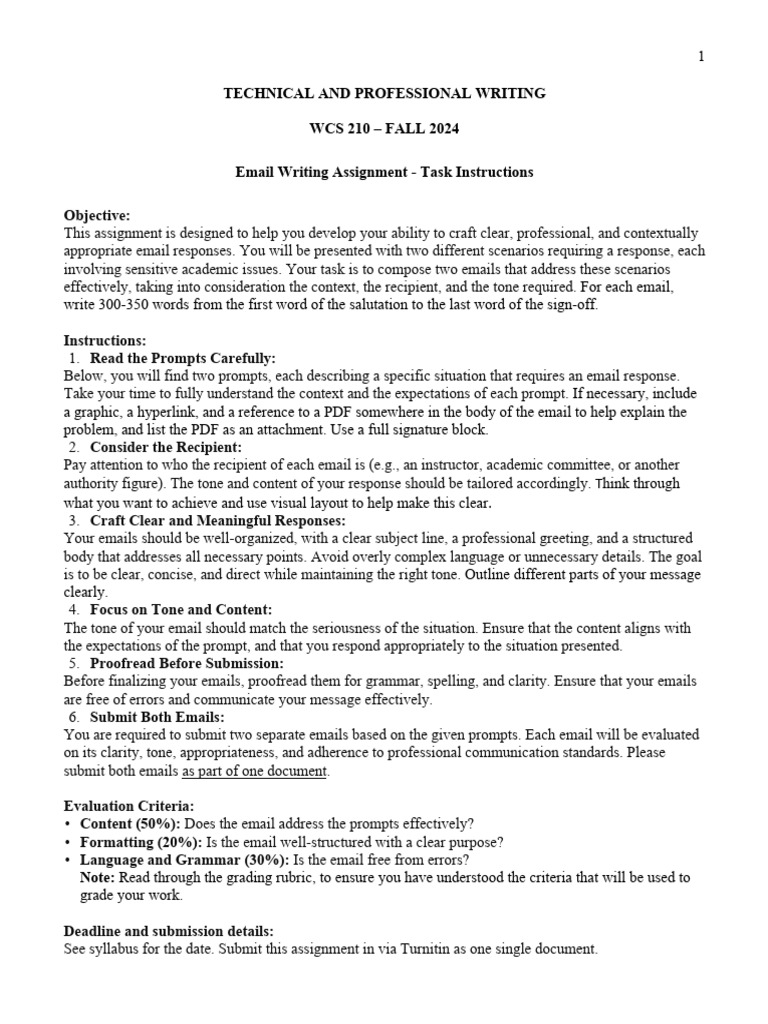 Email Writing Assignment Instructions | PDF | Plagiarism | Proofreading