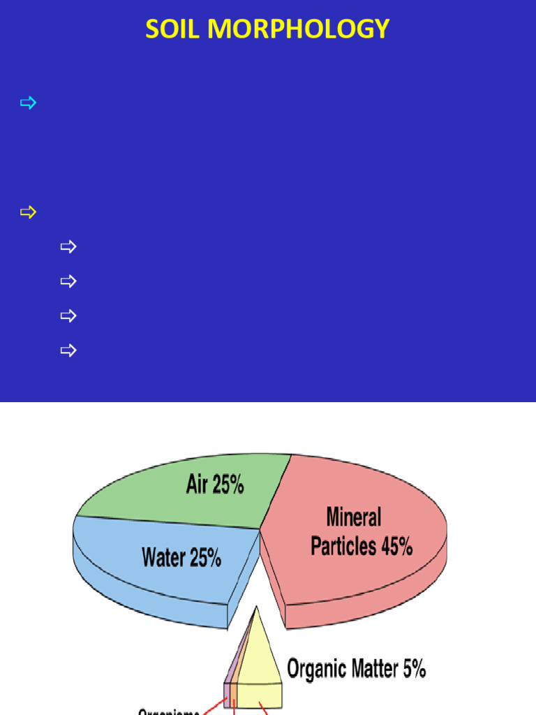 SS 101_SOIL MORPHOLOGY | PDF | Soil | Earth Sciences