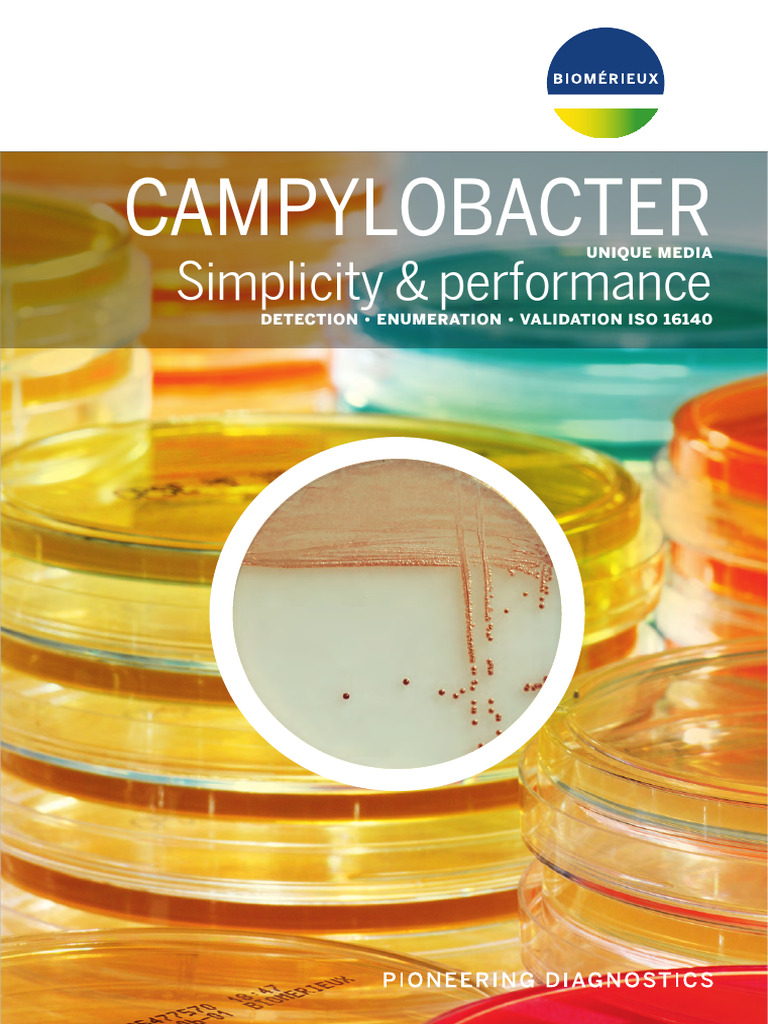 Campyfood Campylobacter - 4 | PDF | Medical Specialties | Microbiology