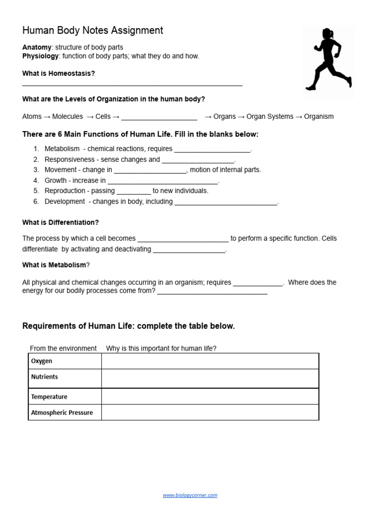 Human Body Notes Assignment | PDF | Human Body | Organ (Anatomy)