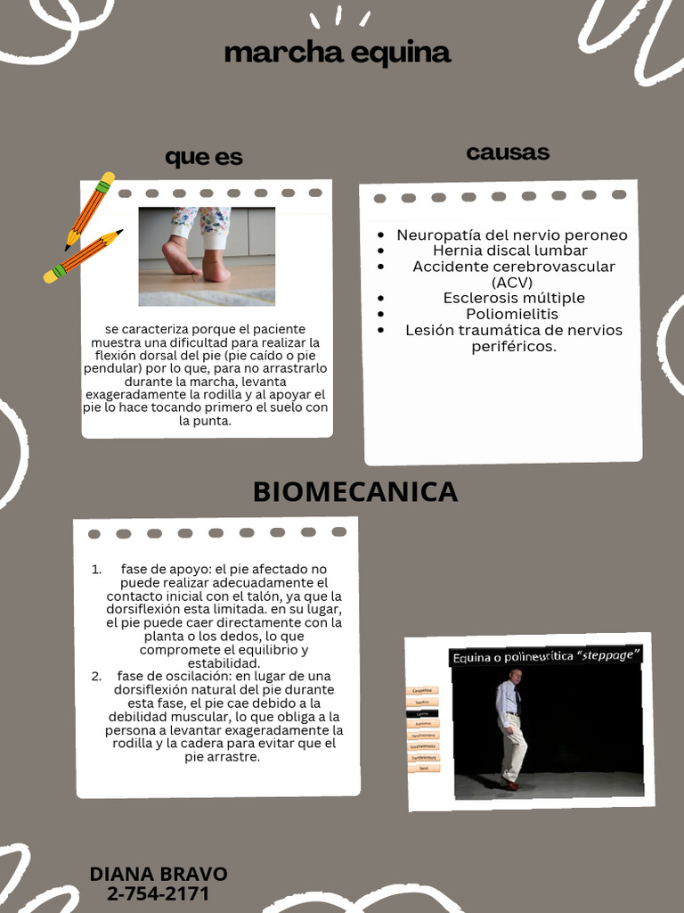 Marcha Equina 2 | PDF